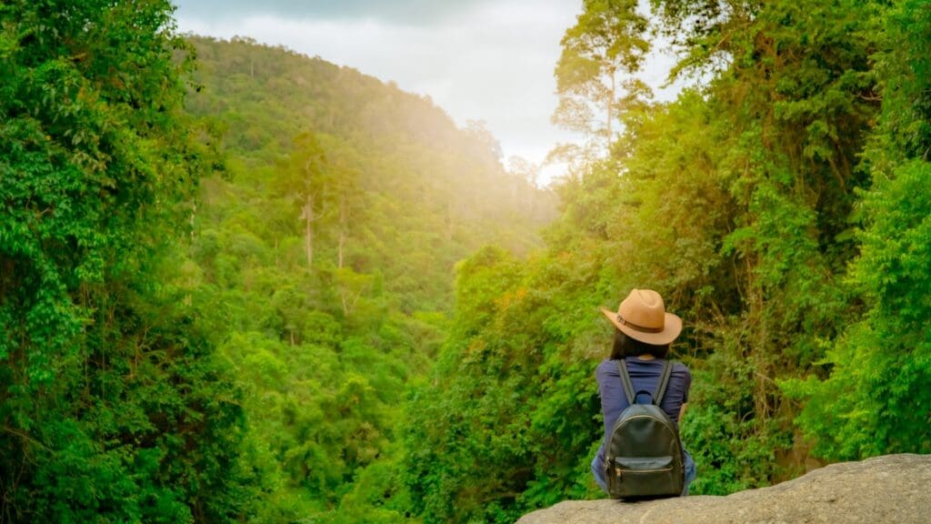 Explora y vive: Tu guía esencial de ecoturismo en España